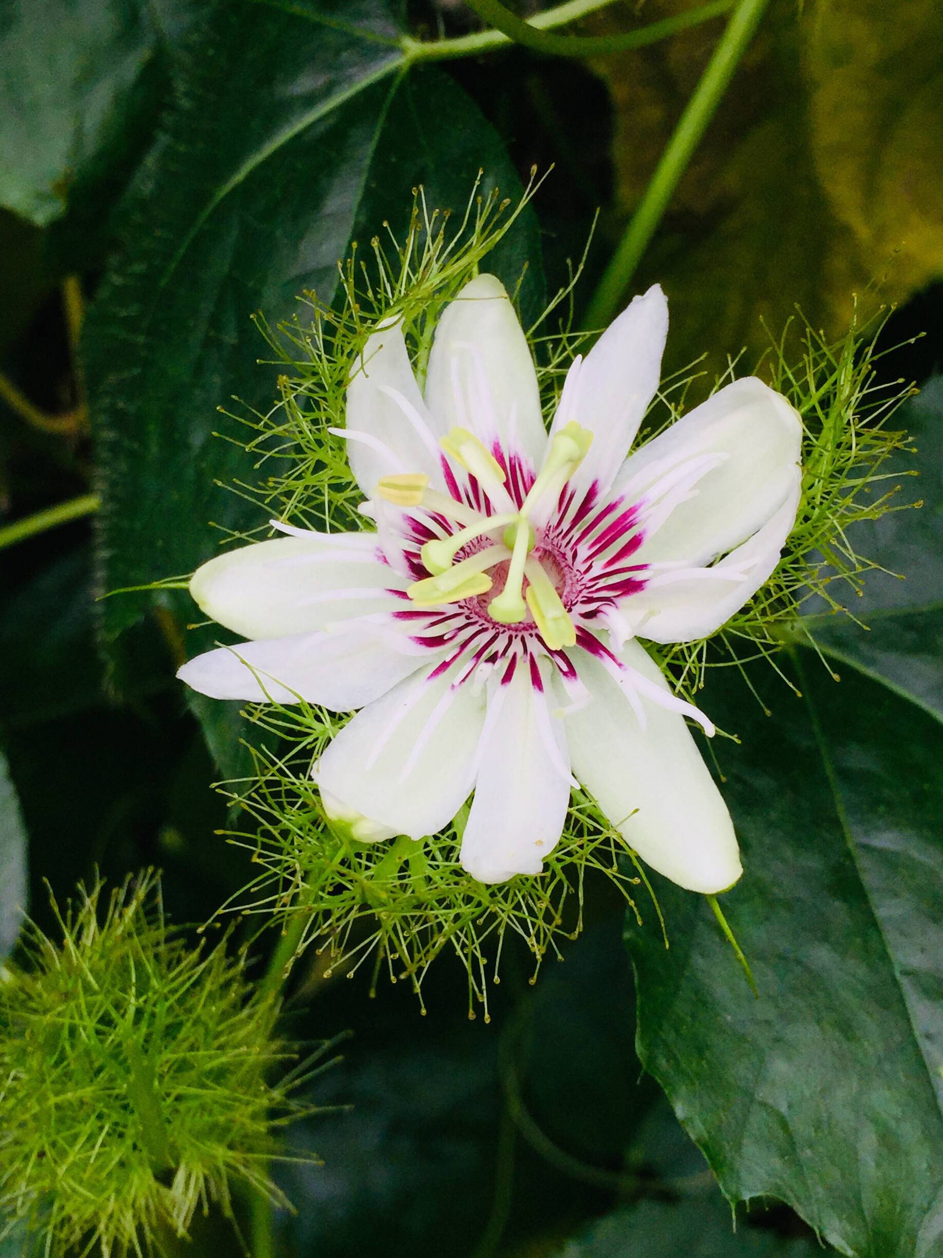 Rent Wisma Academy, Petaling Jaya with Zero Deposit - 1 room Landed for ...